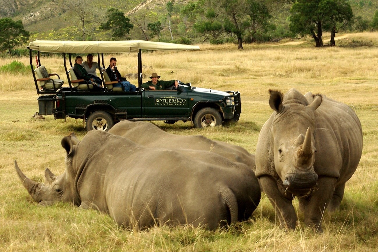 Safari in der Nähe von Kapstadt mit live&learn